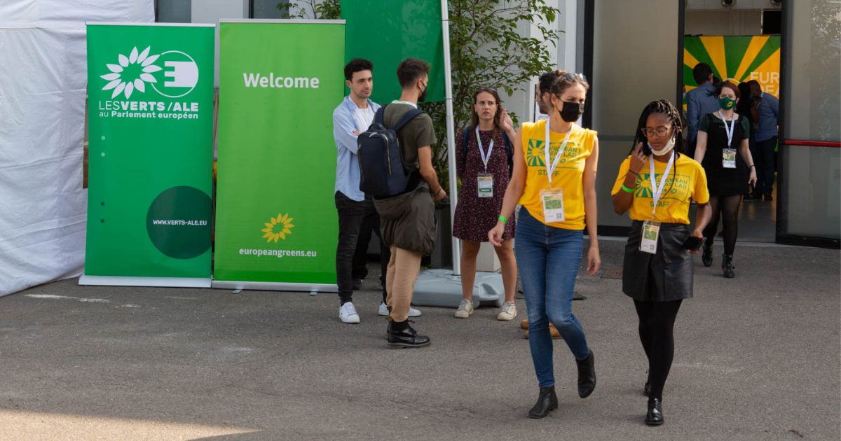 Should European Green Parties Go Into Government?